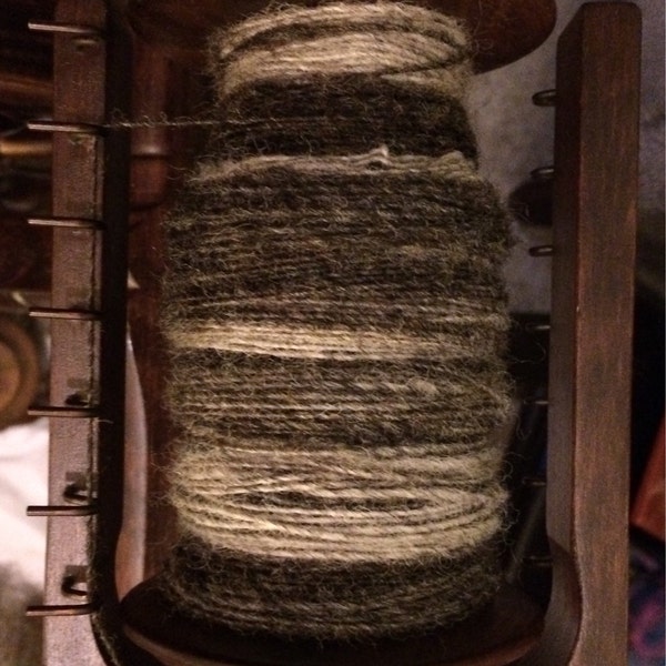 WOOL BLUE TEXEL Sheep Fleece Washed Mixed Colour - Etsy UK
