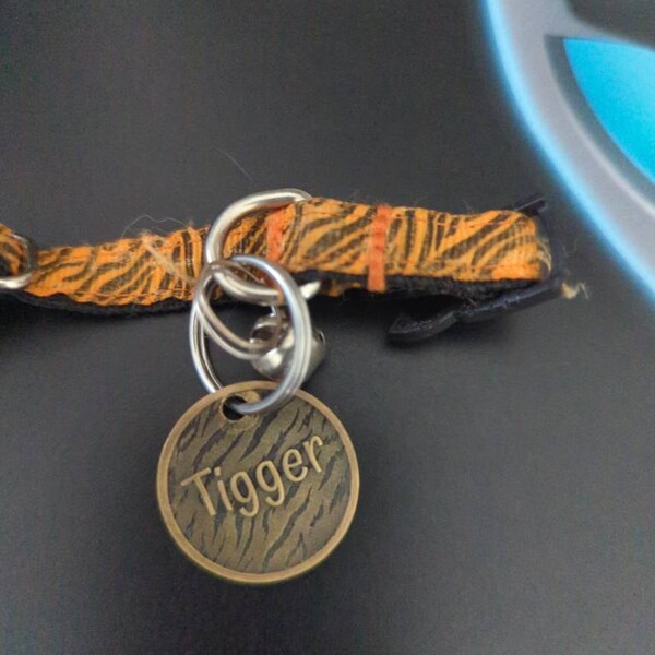 Brass Dog Tag, Personalized Brass Pet ID Tag, Custom Cat Tag, Unique ...