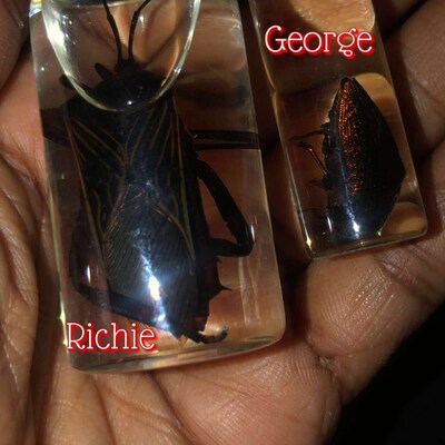 Wet Specimens REAL Mixed Lot of Assorted Specimens in Vials Collection ...