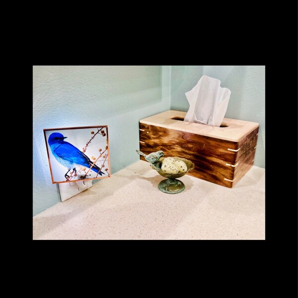 Aspen Grove Night Light From the Signature Photography Line of Steele ...