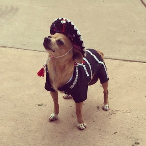 Premium Mariachi Dog Costume / Mariachi Outfit for Dogs/ Mexican Dog ...