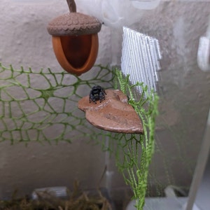 3D Printed Magnetic Acorn Spider Hide Upgraded Sling Acorn Magnets - Etsy