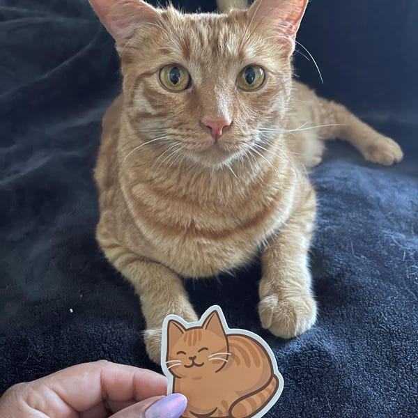 Cream Siamese Cat Loaf Sticker; Flamepoint; Waterproof Dishwasher Safe ...