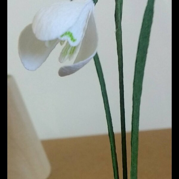Crepe Paper Snowdrop Galanthus Flower - Priced per Stem - Etsy