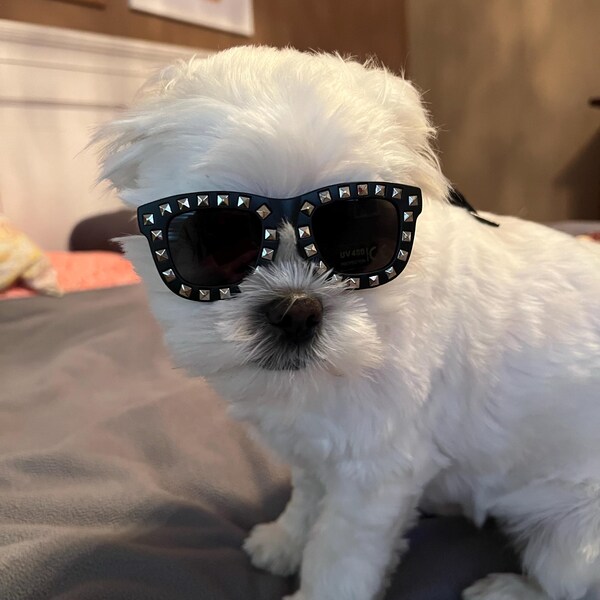 Hello Henri Large Mauve Studded Shades - Etsy