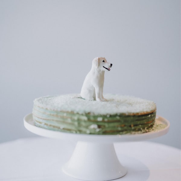 Dog Eating Wedding Cake Topper Made in Australia, Pet Cake Topper ...