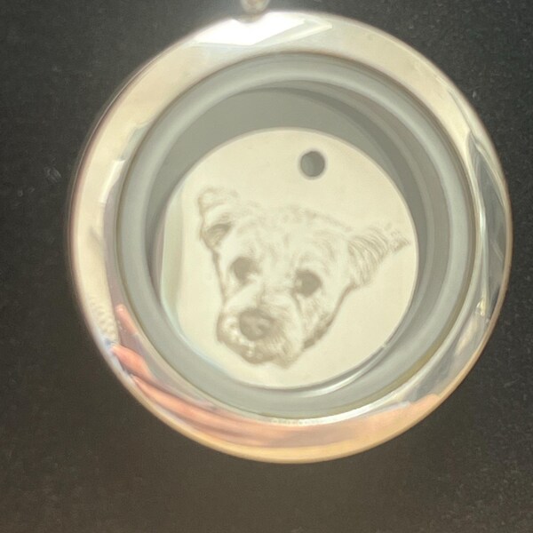 Custom Pet Fur Necklace Pet Fur Locket Necklace Dog Hair Memorial ...