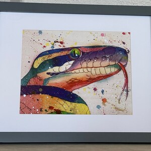 Snakes Vinyl Stickers/decals: Ball Python Black Rat Snake - Etsy