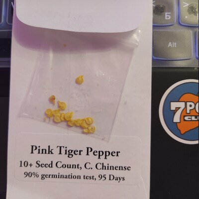 Pink Tiger Pepper Premium Seed Packet - Etsy