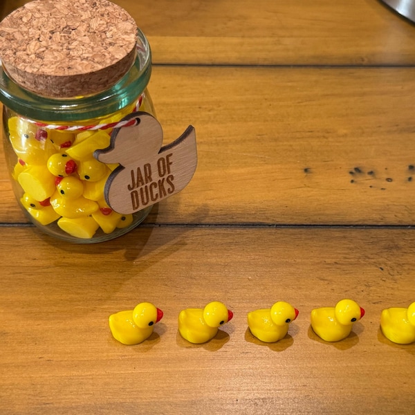 Jar of Ducks (3.4oz) - Coworker Gift -white Elephant Gift - Funny Gift ...