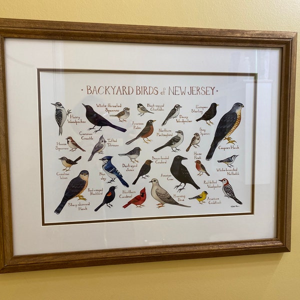 New Jersey Backyard Birds Field Guide Art Print / Watercolor Painting ...