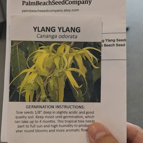 Giant Turkish Plantain Seeds (plantago Major) Packet of 20 Seeds - Palm ...