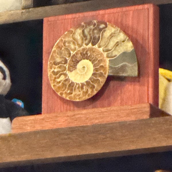 Handmade Wooden Wall Clock, Unique Wood Art Clock, Artsy Clock, Natural ...