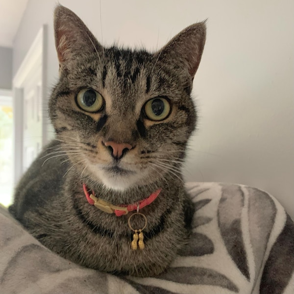 Small Silver Cross Sliders, Tiny Cross Slider Beads, 5mm Flat Cord ...