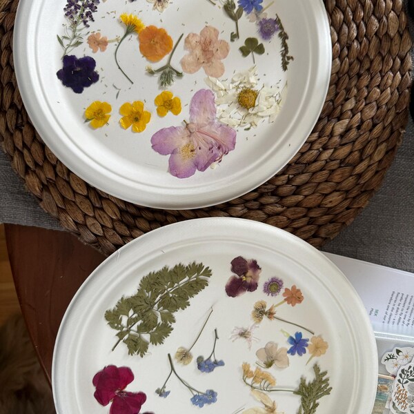 Pattern Only! Crochet Lizard Pattern Amigurumi Lizard Plush Gecko ...