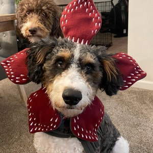 Demodog Demogorgon Stranger Things Inspired Embroidered Dog - Etsy