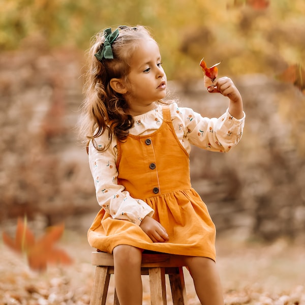 Falling Leaves Overlay, Falling Leaf Overlays, Fall Leaves, Autumn ...