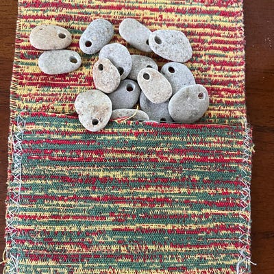 FLORIDA Native 50 Necklace Pod Plant Seeds Drought Tolerant Yellow ...