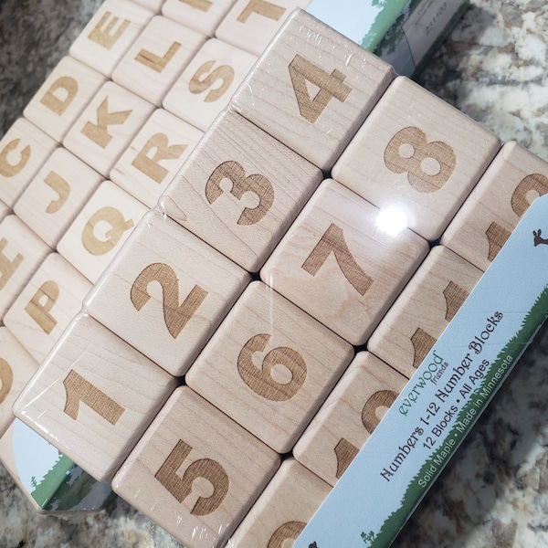 12 Pc ASL Number Blocks With Braille American Sign Language Blocks Asl ...