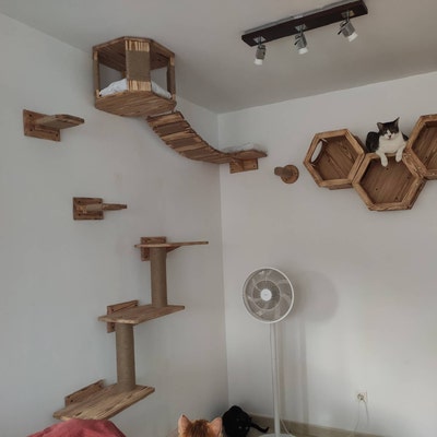 Cat Ceiling 3 Hexagon Shelves, Cat Floating Bridge for Wall, Ceiling ...