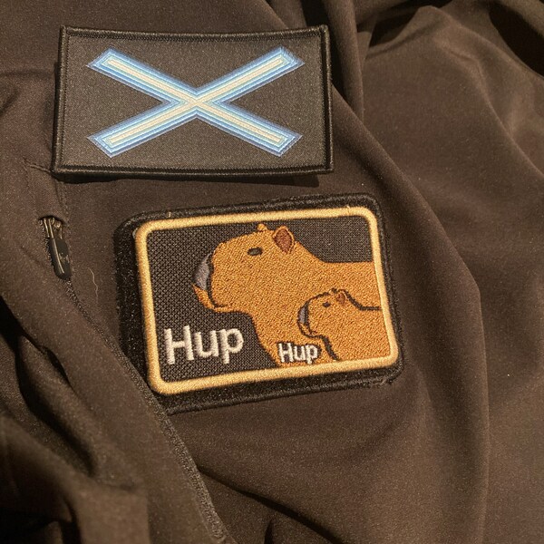 Hup Hup! - Cute Capybaras - High Quality Shiny Iron on Patch. - Etsy