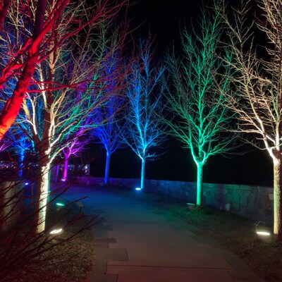 20 NATURAL Luts Premiere, Neutral Film LUT Video Presets, Clean ...