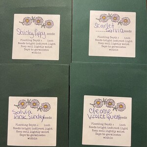 Yellow Elder Seeds Tecoma Stans 30 - Etsy