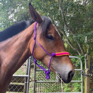 Indian Bosal Hackamore Bitless Multiple Sizes - Etsy