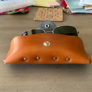 Ray Ban Case-leather Sunglasses Case-glasses Case Whiskey Saddle ...