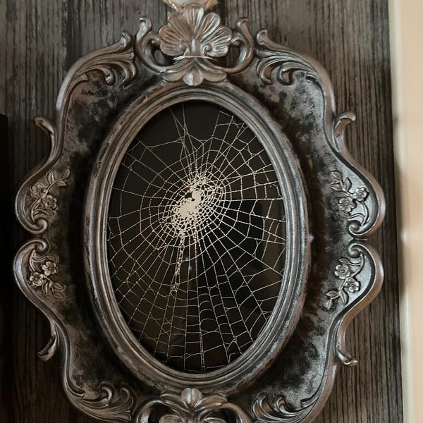 Unique Medium Real Preserved Spider Web- Cruelty Free - Etsy