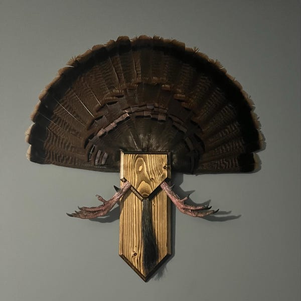 Hunting Plaque, Deer Plaque, Turkey Plaque, Baseball Cases, Display ...