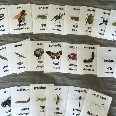 Money Flash Cards, 17 Montessori Cards, US Coins, Memory Games, 3 Part ...