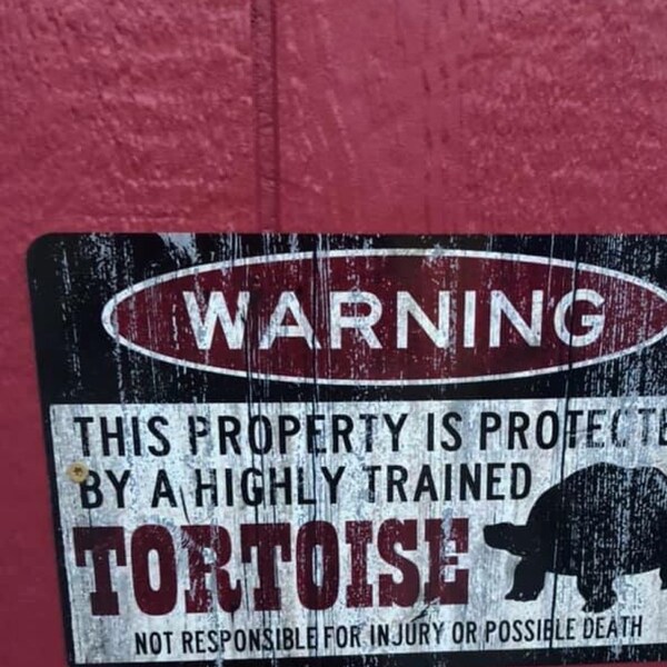 Tortoise Sign,funny Metal Signs,tortoise Gift,tortoise Accessories ...