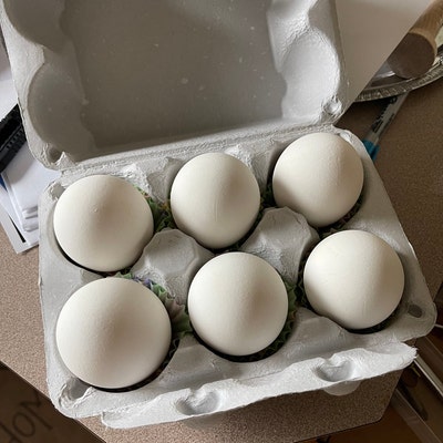 Goose Egg Cartons Color Printed Vintage Themed set of 5 Cartons Holds 6 ...