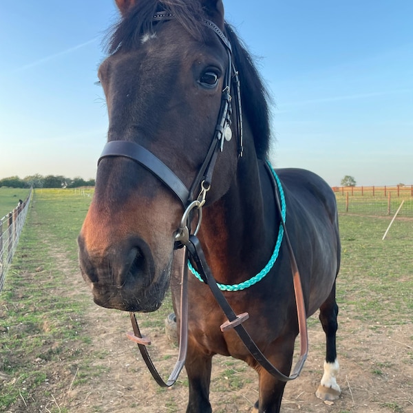 Saddle Grab Strap | Black Biothane | Balance Strap | Horse Riding ...