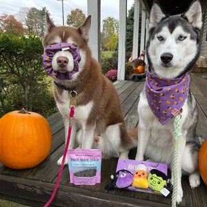 Concha Dog Squeaky Toy Concha Toy Mexican Sweet Bread Toy | Etsy