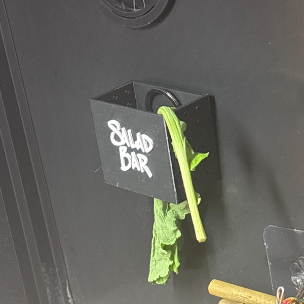 Kiddie Pool Remake 3D Printed Reptile/small Pet Sandbox/food Bowl ...