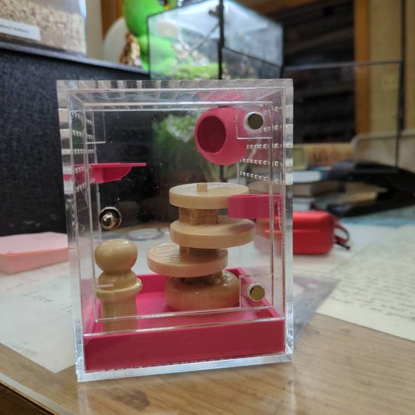 Deluxe Isopod Starter Kit Isopod Terrarium Kit for Isopods With Isopod ...