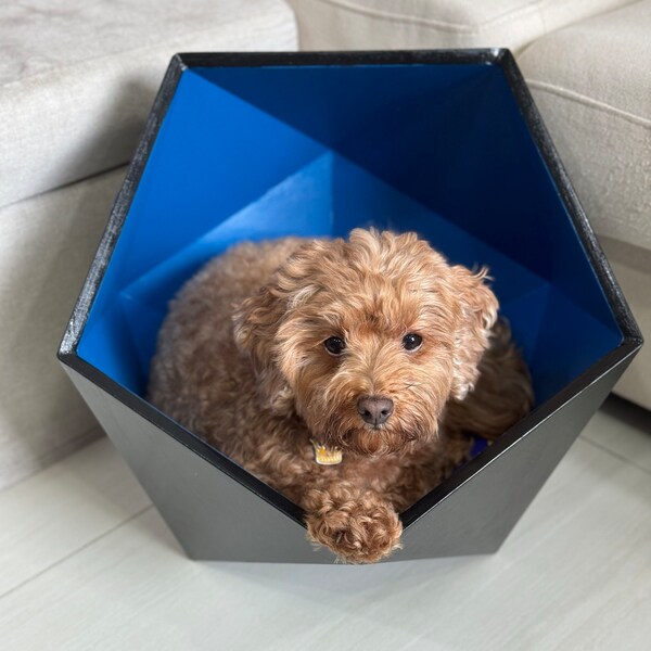 Pet Care Binder Printable Dog Organizer Pet Health Record Puppy ...