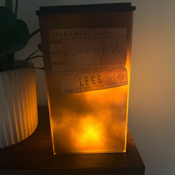 Rosemary Winters Resident Evil Village LED Flask - Etsy