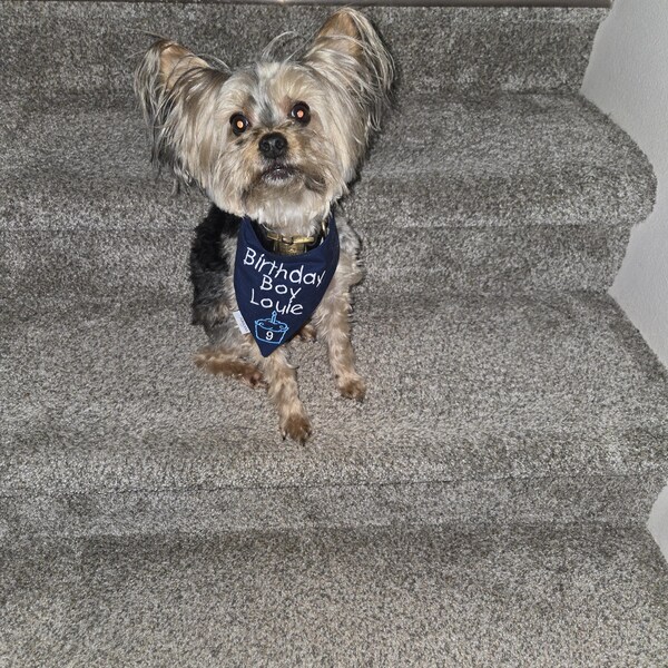 Dog Rescue Patch | 3 Inch Round Patch | Embroidered Rescue Dog Patch ...