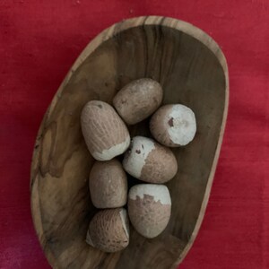 Organic Kapok Buds marathi Moggu Indian Spice Herbs - Etsy