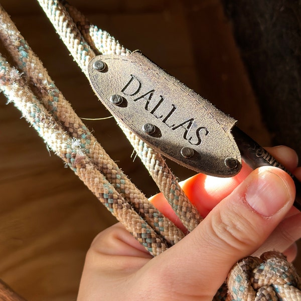 Stall Name Plate Slider Set & Single Plates Only Bold Lamacoid Plastic ...