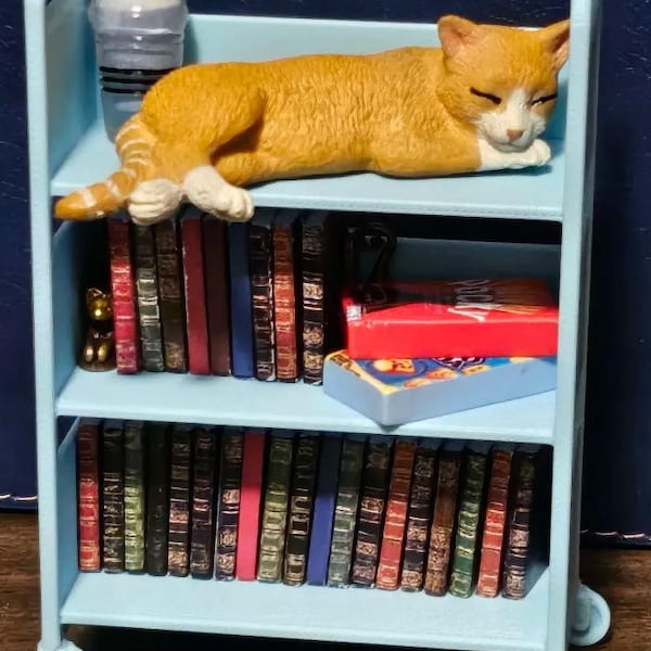 1/6 Scale 3 Shelf Mini Library Cart/ Mini Brands Books / Mini Books ...