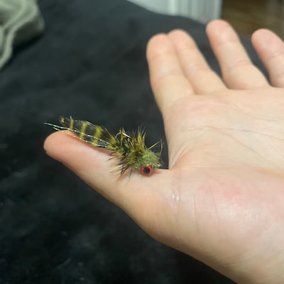 Tabory Snake Fly, 3 Each - Etsy