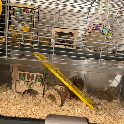 Custom Hamster Hideout/ Hamster Treehouse With Level/ Hamster Castle ...