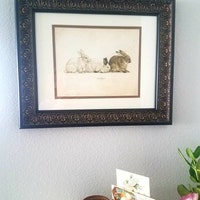 Vintage Oak Acorns les Glands De Cheme on French Ephemera Print 8x10 ...