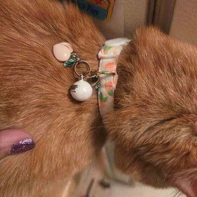 Strawberry Cat Collar Strawberry Kitten Collar Strawberry Collar ...