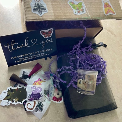 Zombie Fox Taxidermy, Red Fox Face & Skull Taxidermy With Real Crystals ...