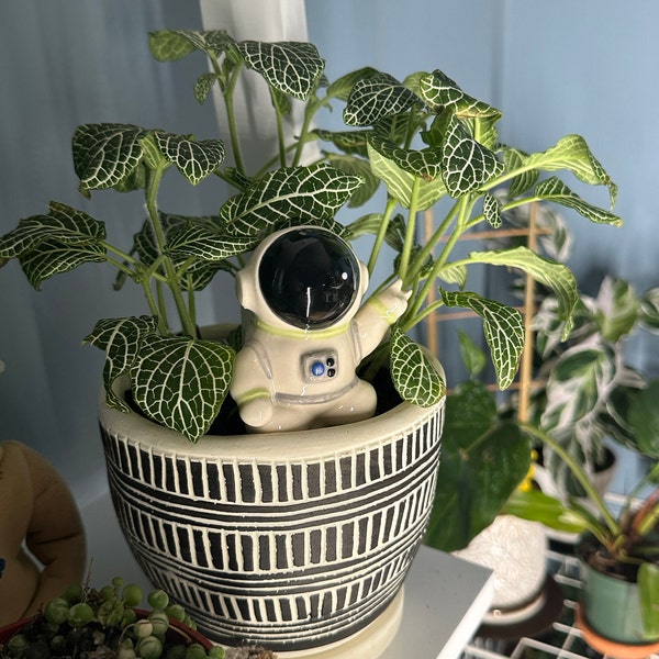 Astronaut - Self Watering Ceramic Olla Plant Spike for Houseplants and ...